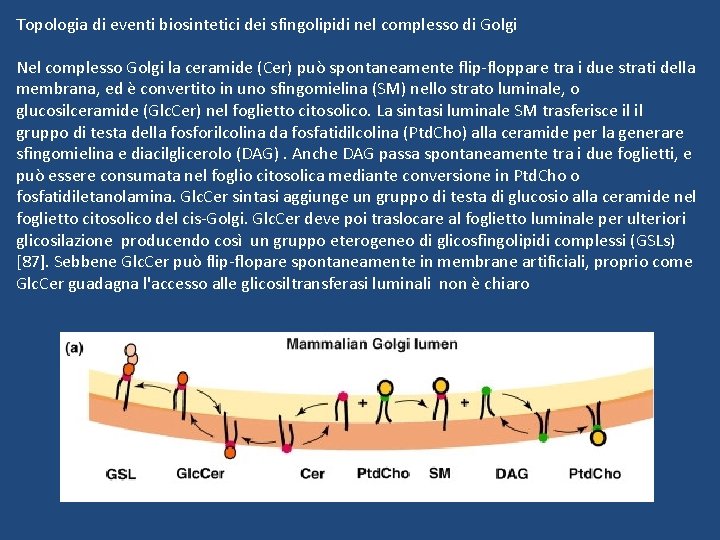 LIPID TRANSPORT Mechanisms of intermembrane lipid transport Tomas
