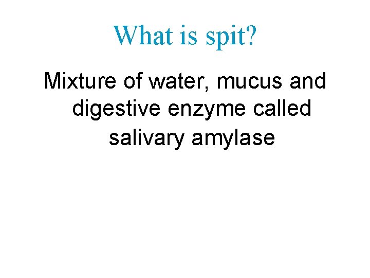 DIGESTIVE SYSTEM FUNCTION Process of breaking down food