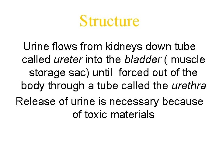 DIGESTIVE SYSTEM FUNCTION Process of breaking down food