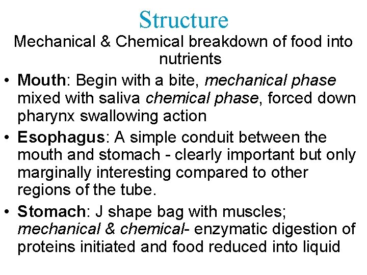 DIGESTIVE SYSTEM FUNCTION Process of breaking down food