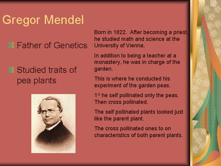 Gregor Mendel Father of Genetics Studied traits of