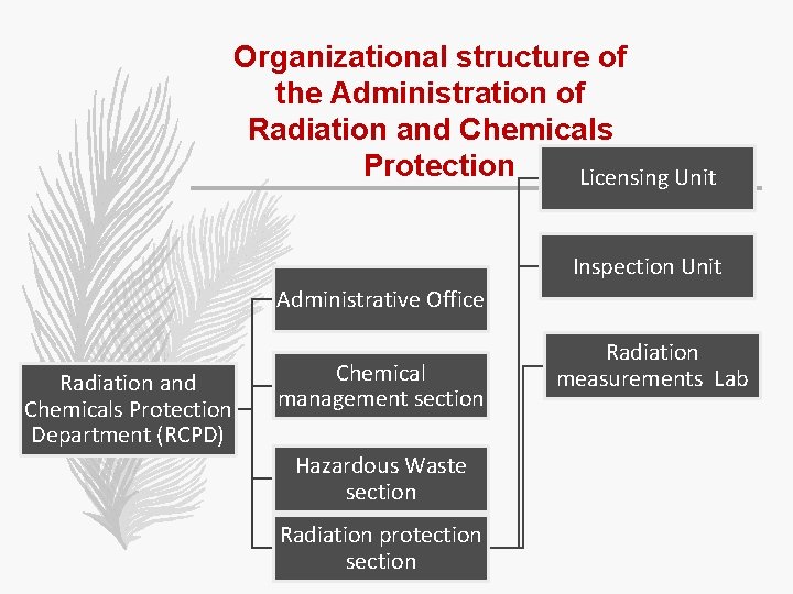 Ministry of Municipality and Environment Department of Radiation