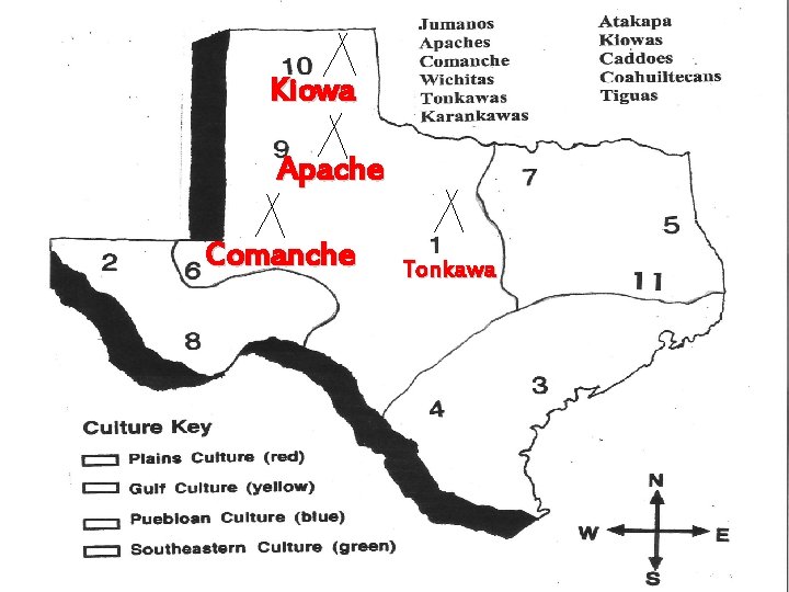 American Indian Cultures of Texas Culture the customs