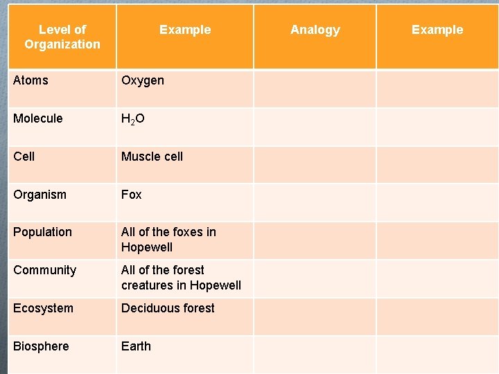 Ecosystems What are They and How Do They