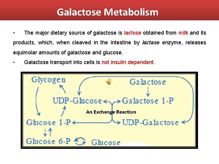 Carbohydrates Metabolism TOPICS Minor pathways for glucose metabolism