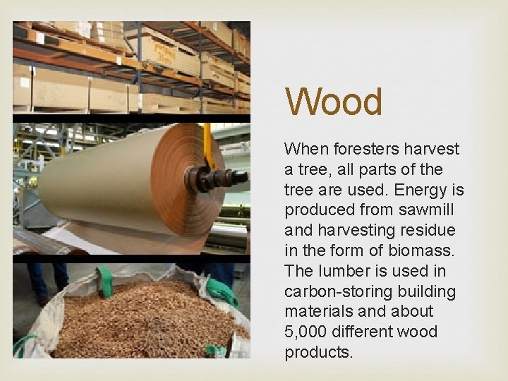 Natural Resources Land Jasmine Pimentel Melissa Ramirez Karen