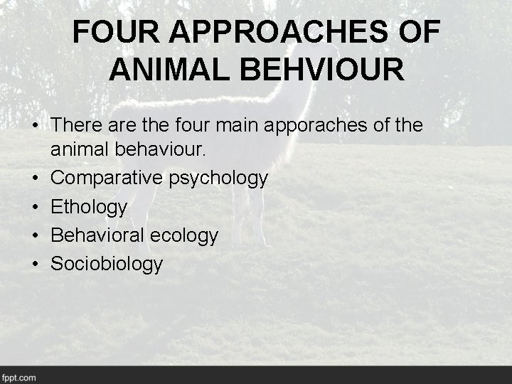 Animal Behaviour FOUR APPROACHES OF ANIMAL BEHVIOUR There