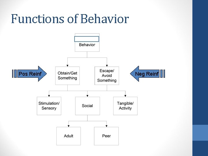 Introduction to Behavior Function and FBA Adapted from