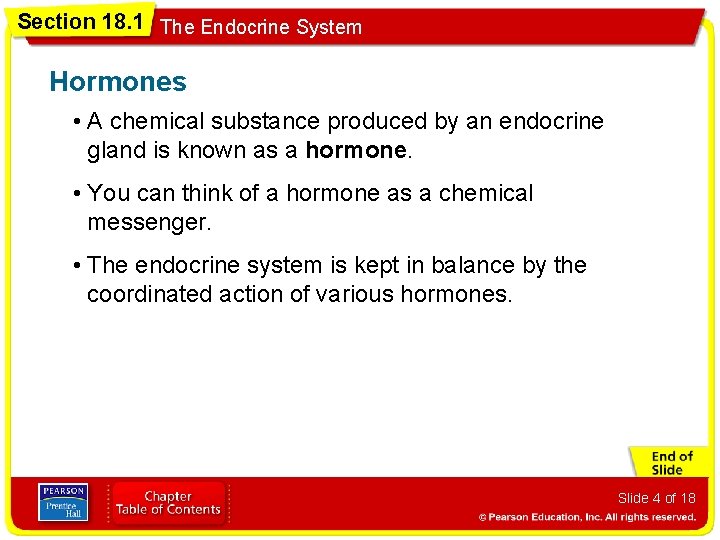 Section 18 1 The Endocrine System Objectives Describe
