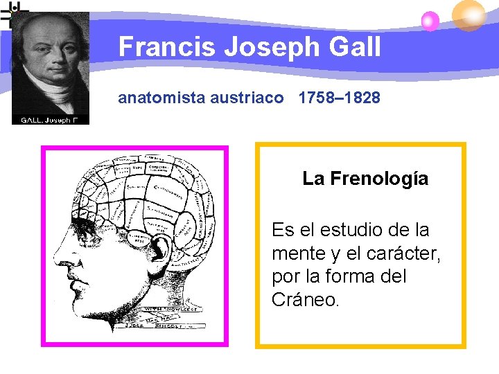 CEREBRO MENTE Y EDUCACIN EJE DE PROCESOS MENTALES