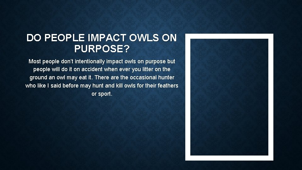 OWL AND HUMAN INTERACTIONS Interactions with humans can