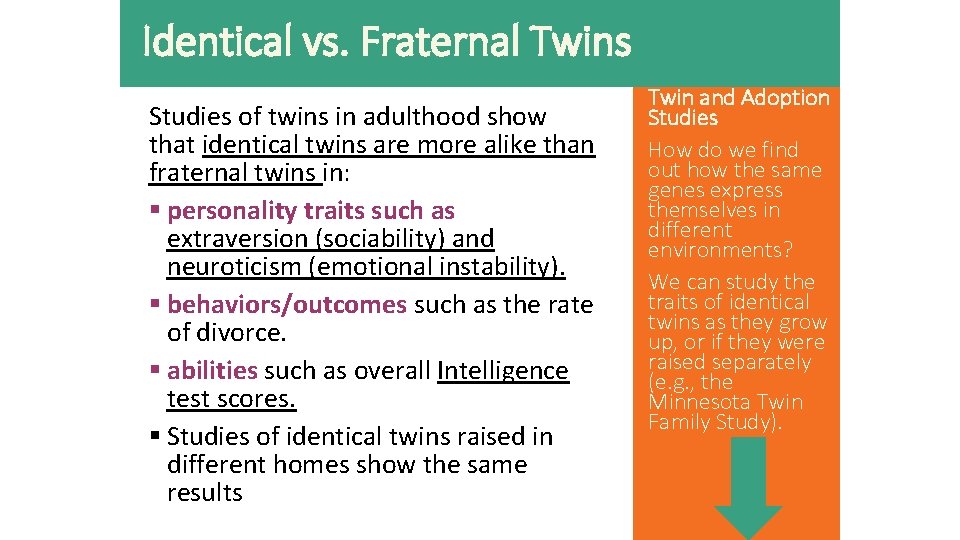 Cognitive neuroscience Study of the brain activity linked