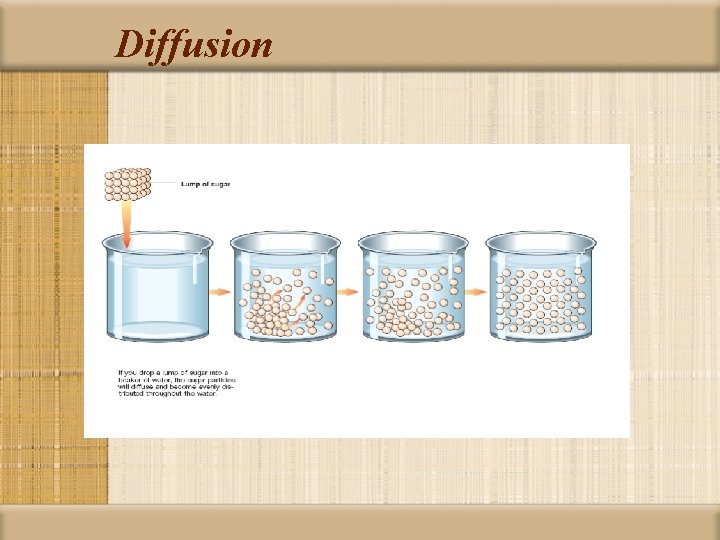 How do Materials Move Across the Cells Membrane