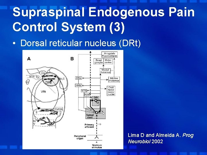 Definition of Pain by IASP An unpleasant sensory