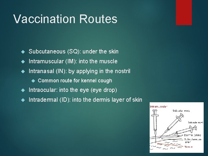 The Immune System Objectives State the structures that