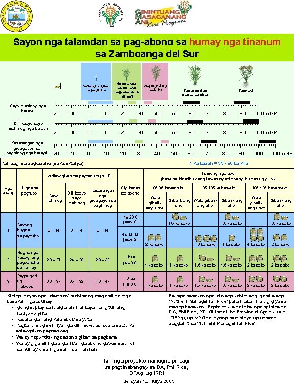 Quick guide for fertilizing transplanted rice in Zamboanga
