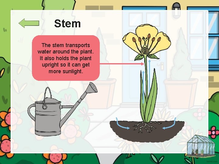 Parts of a plant Now you know what