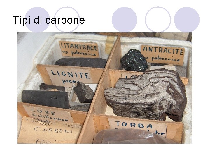 I combustibili Il carbone acquisisce la sua importanza