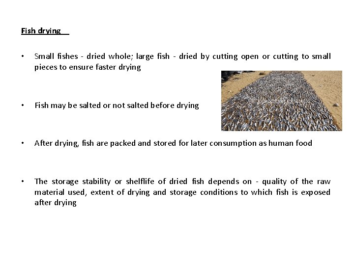Food preservation by drying Fish drying Small fishes