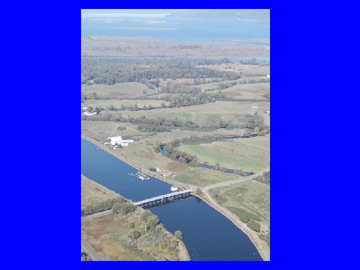 Blind Slough Restoration Project Sponsors Clatsop Diking Improvement