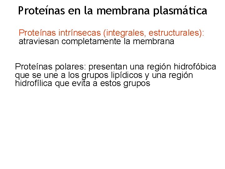 La clula Es la unidad elemental de estructura