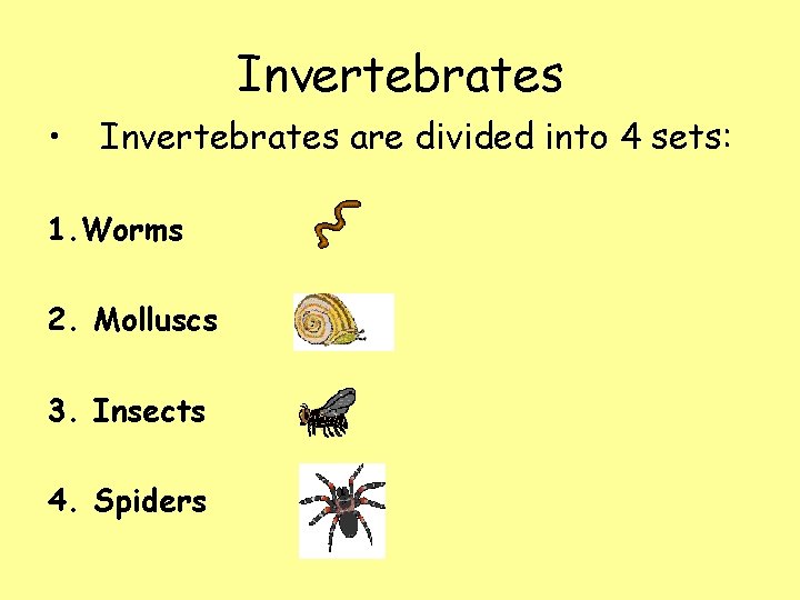 Invertebrates Invertebrates Invertebrates are animals with NO backbone