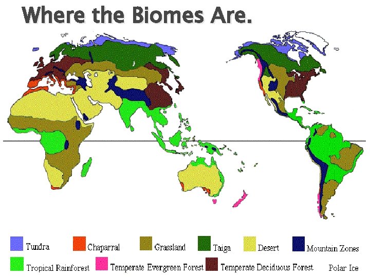 Unit 2 Lesson 2 The Biomes and Organisms