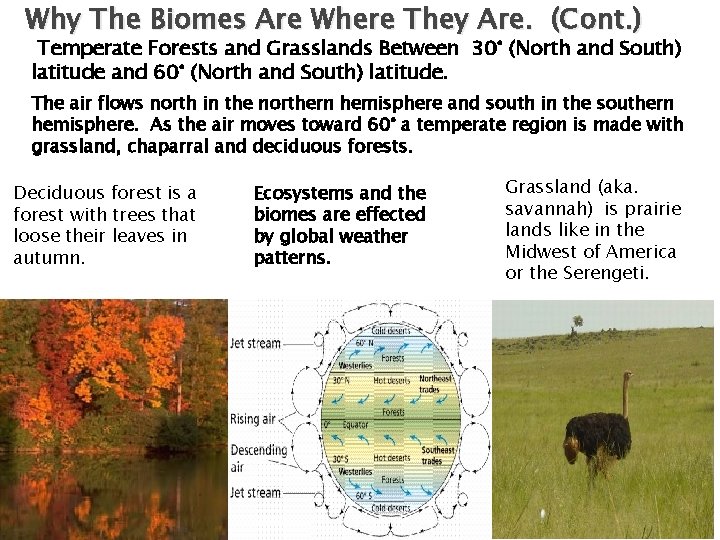Unit 2 Lesson 2 The Biomes and Organisms