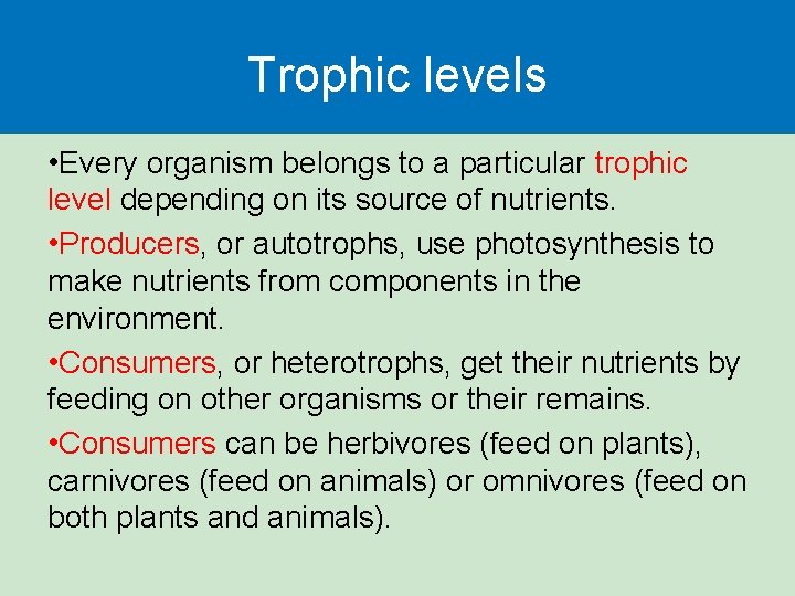 Ecosystems What Are They and How Do They