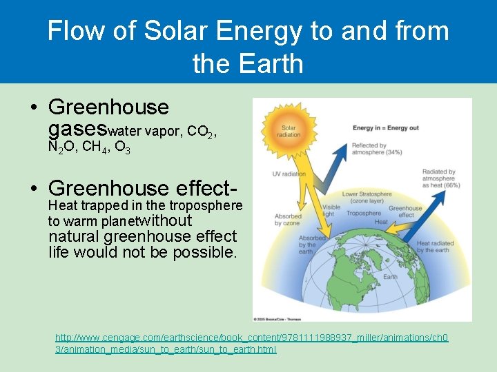Ecosystems What Are They and How Do They