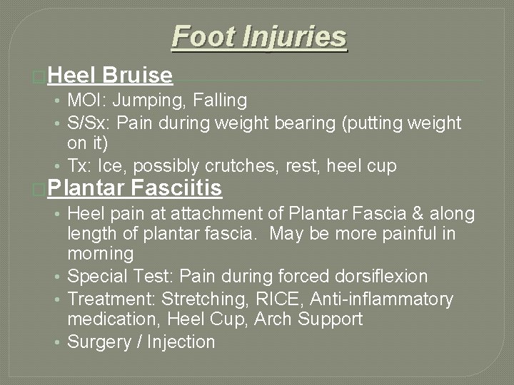 The Foot The foot functions to absorb forces