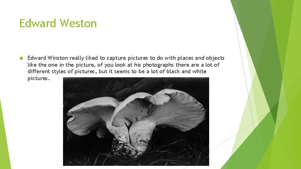 Edward Weston BY Whitney Nemelka Media 175 Principles