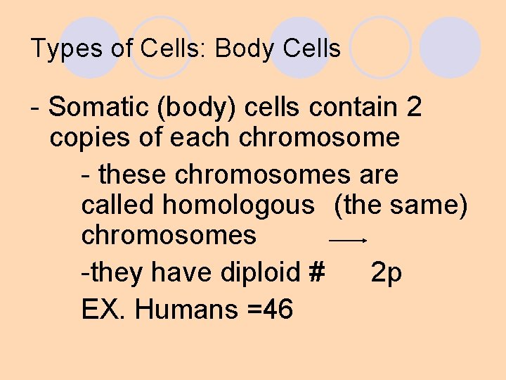 MEIOSIS NOTES Double cell division Reproduction l Asexual