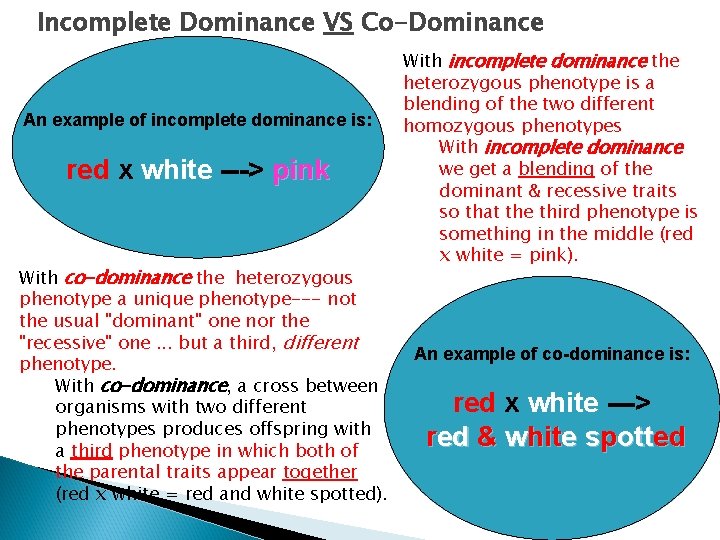 Unit 5 Lesson 4 Beyond Mendels Genetics Springfield