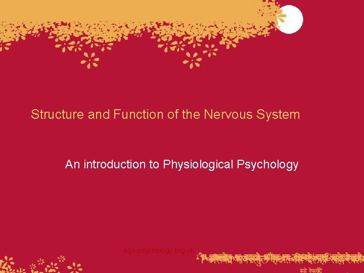 Structure and Function of the Nervous System An