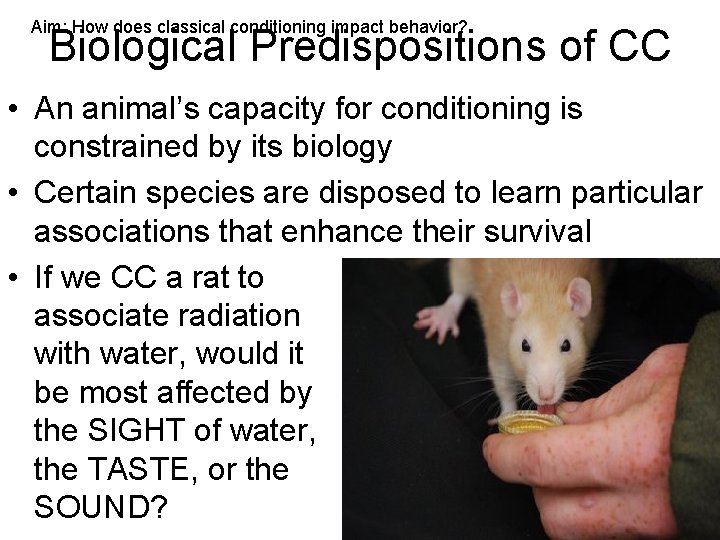 Aim How does classical conditioning impact behavior Aim