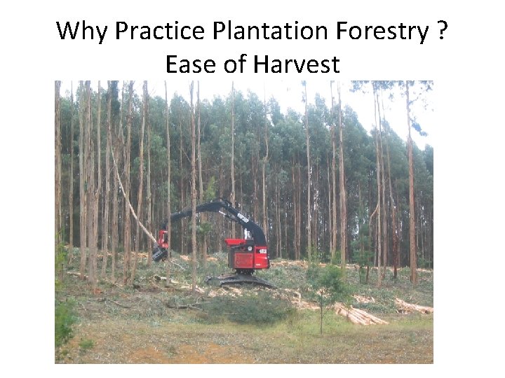 Sustainable Forest Management 2014 Why is the sustainability