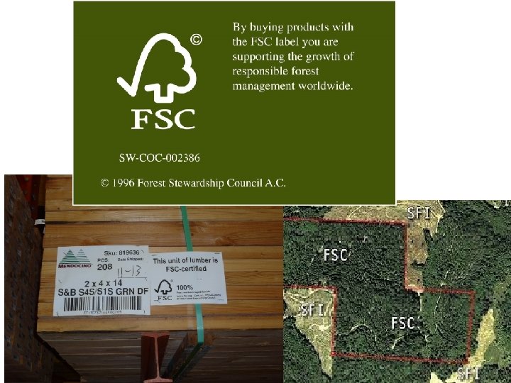 Sustainable Forest Management 2014 Why is the sustainability