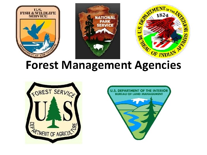 Sustainable Forest Management 2014 Why is the sustainability