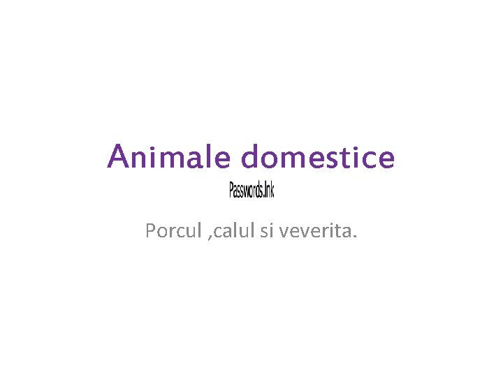 Animale domestice Porcul calul si veverita Porcul Porcul