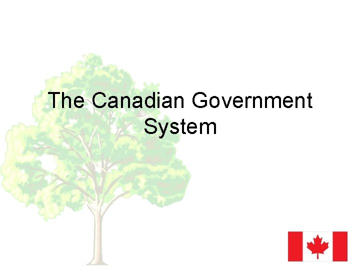 The Canadian Government System So far we have