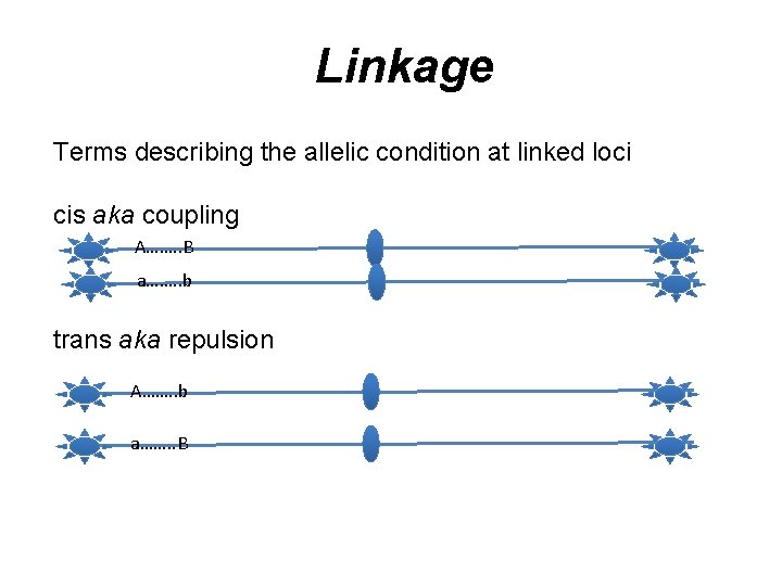 Linkage Chromosome mapping by recombination Meiosis is the