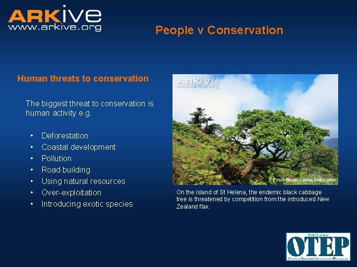 Biodiversity the fine balance of an ecosystem Design