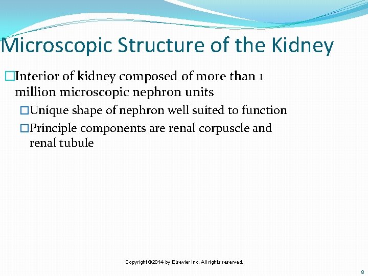 Chapter 20 The Urinary System Copyright 2014 by