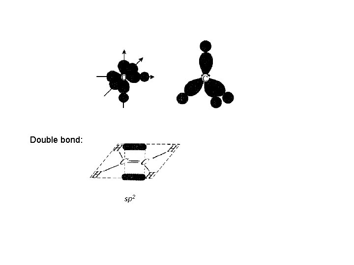 Introduction to Biophysics Lecture 5 Proteins Structure Proteins