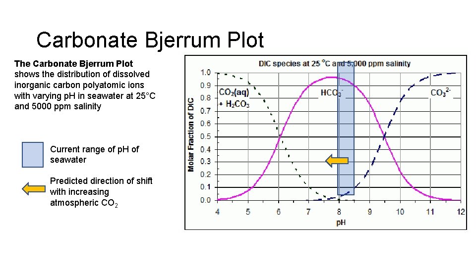 Off Base Introducing the Chemistry of Ocean Acidification