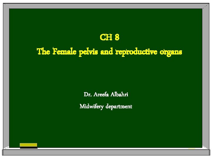 CH 8 The Female pelvis and reproductive organs