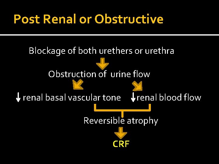 Marcela Ramirez MD Acute Renal Failure Acute Renal