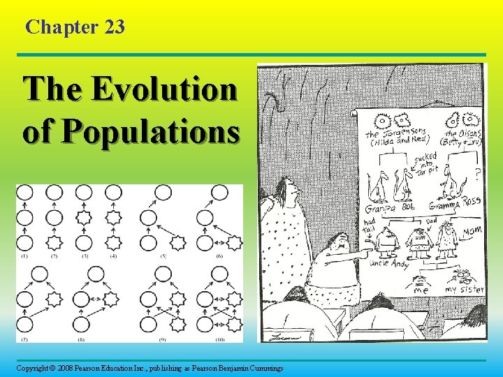 Chapter 23 The Evolution of Populations Copyright 2008