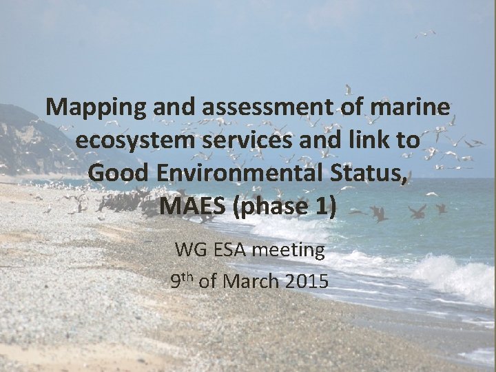 Mapping and assessment of marine ecosystem services and